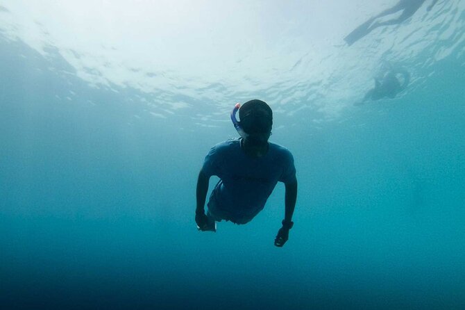 Cala Gonone Snorkeling in the Orosei Gulf - Key Points