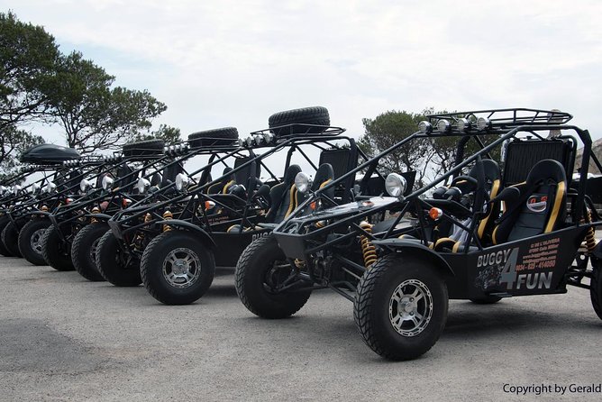 Cala Millor: Mega buggy tours also in Sa Coma - FAQs