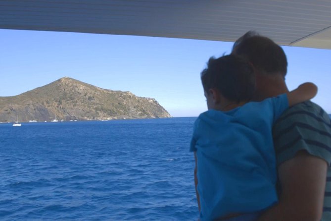 Cala Murtra: Immerse Yourself in the Beauty of an Underwater World - Discovering Cala Murtras Captivating Marine Life