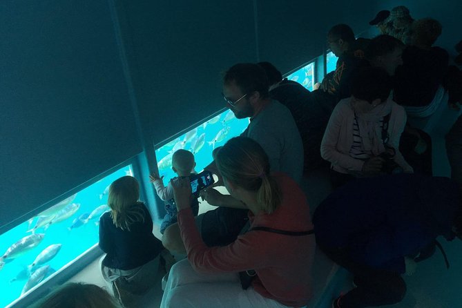 Cala Murtra: Immerse Yourself in the Beauty of an Underwater World - Practical Information for Visiting Cala Murtra