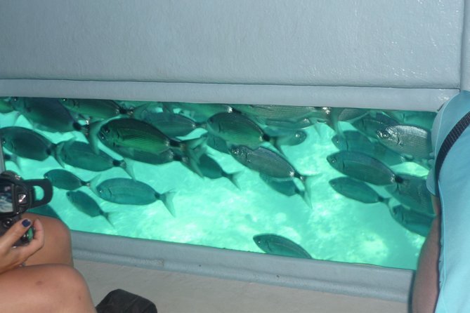 Cala Murtra: Immerse Yourself in the Beauty of an Underwater World - Preparing for Your Cala Murtra Underwater Exploration