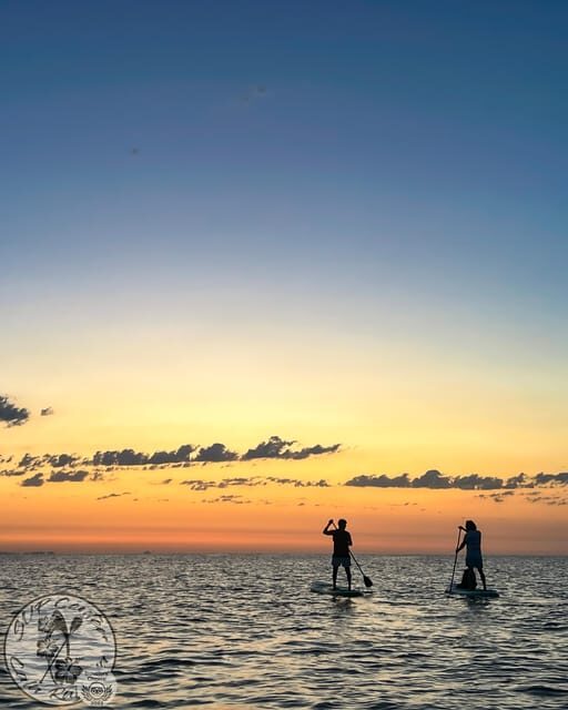 Cala Ratjada: Stand Up Paddle Sunrise Tour - Key Points