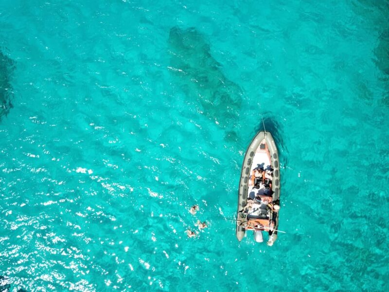 Cala Ratjada: SUP SAFARI TOUR 2H - Why This SUP Safari Stands Out