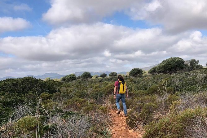 Cala Romantica Water Cave Adventure - Inclusions and What to Expect