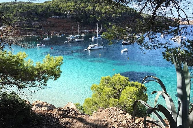 Cala Salada and Unspoiled North Beach Tour. Snorkelling and Aquarium - A Close Look at the Itinerary