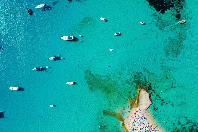 Cala Salada and Unspoiled North Beach Tour. Snorkelling and Aquarium - Who Will Love This Tour?