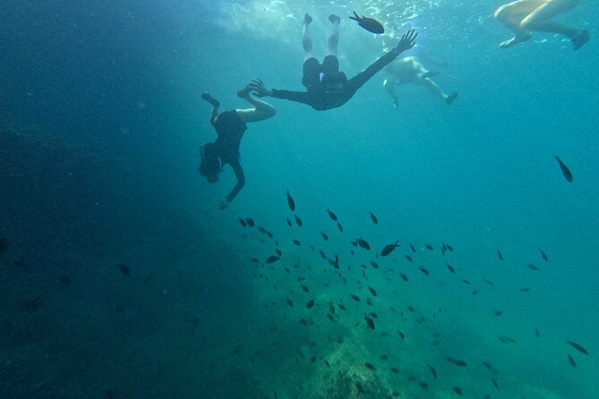 Cala Varques: Guided kayak Sea caves expedition & snorkeling - FAQ