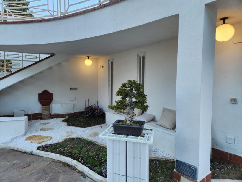 Calabria: 3-Day Bonsai Workshop with Accommodation - Calabria: 3-Day Bonsai Workshop with Accommodation — An In-Depth Review