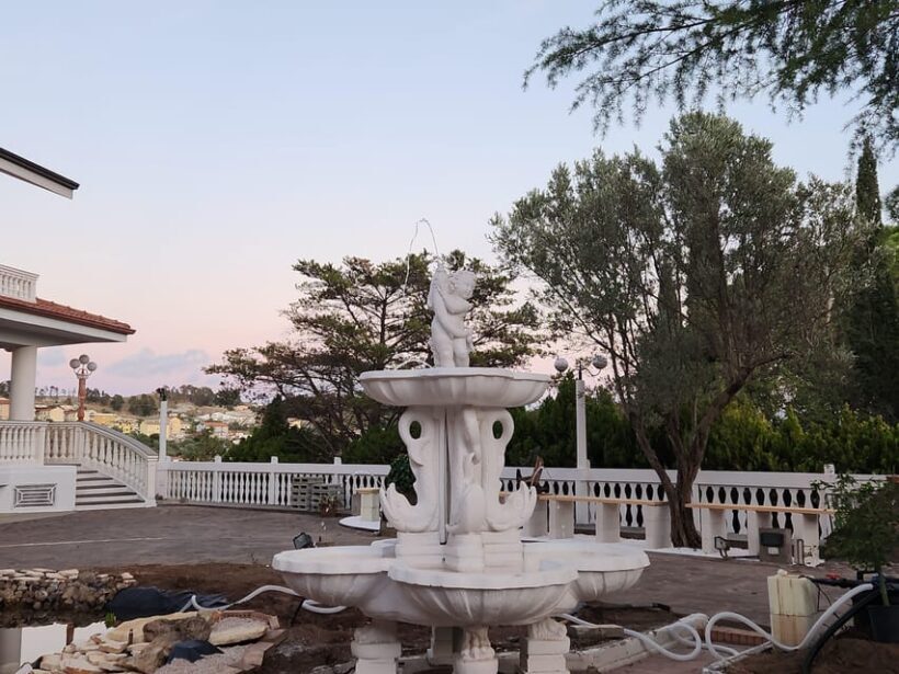 Calabria: 3-Day Bonsai Workshop with Accommodation - What Makes This Workshop Valuable?