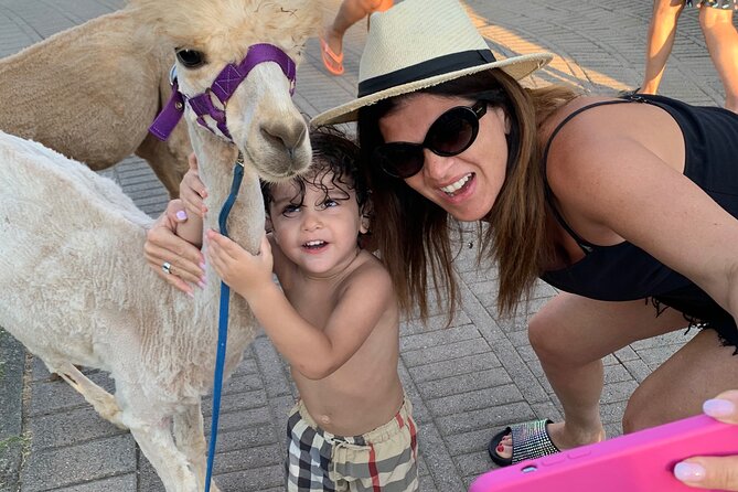 Calabrian Alpacas Sunset Beach Experiences Pizzo VV AlpacSelfies - Unique Features of the Experience
