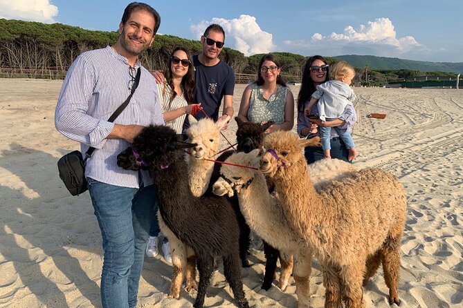 Calabrian Alpacas Sunset Beach Experiences Pizzo VV AlpacSelfies - Schedule and Availability