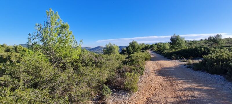 Calanques National Park: E-Mountain Bike with Virtual Guide - The Itinerary: What to Expect
