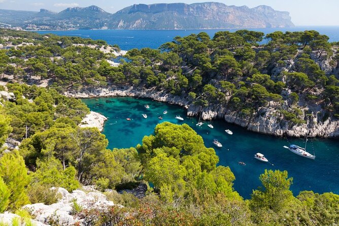 Calanques National Park Kayak Day Tour - Key Points