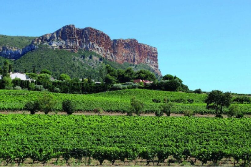 Calanques of Cassis, Aix-en-Provence & Wine Tasting Day Tour - Transportation & Logistics