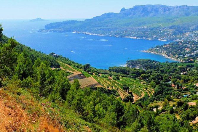 Calanques of Cassis, Aix-en-Provence & Wine Tasting Private Tour - Transport and Group Size