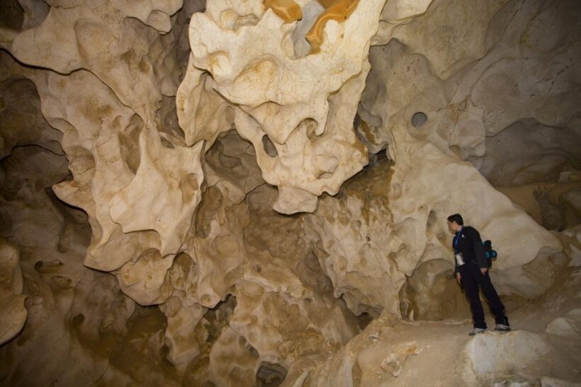 Calasparra: Cueva del Puerto Entry Ticket with Guided Tour - The Value and Practicalities