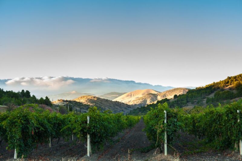 Calaveras/Tuolumne Digital Wine Tasting Passport - The Sum Up: A Budget-Friendly, Flexible Way to Discover Sierra Foothills Wines