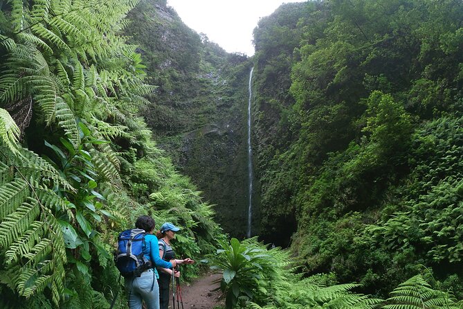 Caldeirão Verde Levada (PR 9) - Guided Madeira Levada Walk - Health and Fitness Requirements