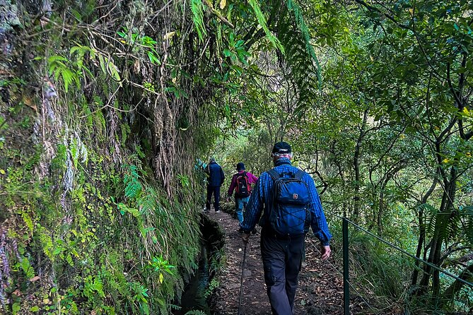 Caldeirão Verde Levada (PR 9) - Guided Madeira Levada Walk - Customer Experiences and Feedback