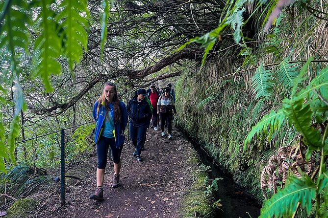 Caldeirão Verde Levada (PR 9) - Guided Madeira Levada Walk - Booking Information and Pricing