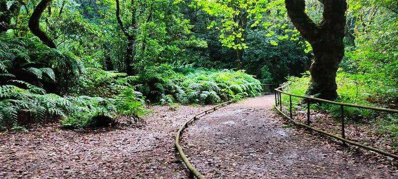 Caldeirão Verde: Queimadas PR9 Transfer and Self-Guided Hike - Key Points