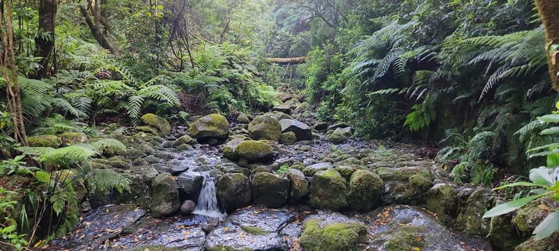 Caldeirão Verde: Queimadas PR9 Transfer and Self-Guided Hike - What to Expect from Your Self-Guided Hike