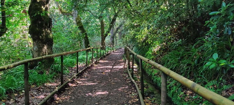Caldeirão Verde: Queimadas PR9 Transfer and Self-Guided Hike - Why This Tour Gets Rave Reviews