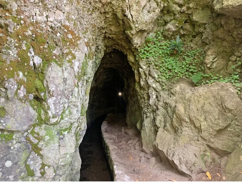 Caldeirão Verde: Queimadas PR9 Transfer and Self-Guided Hike - Price Analysis and Overall Value