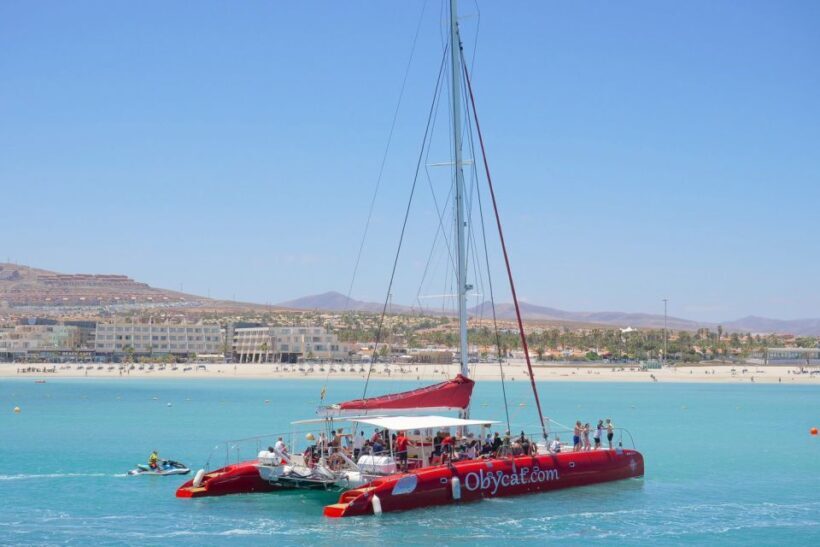 Caleta de Fuste: Catamaran Sailing Experience - What Sets This Tour Apart?