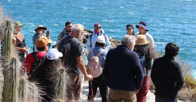 Caleta Los Hornos: Hiking archaeological sites - Practical Details and What to Expect