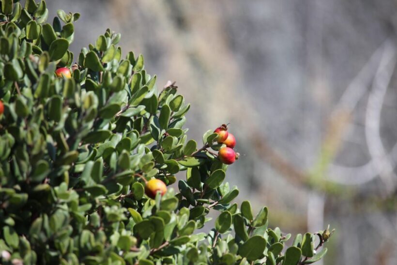 Caleta Los Hornos: Hiking archaeological sites - Final Thoughts