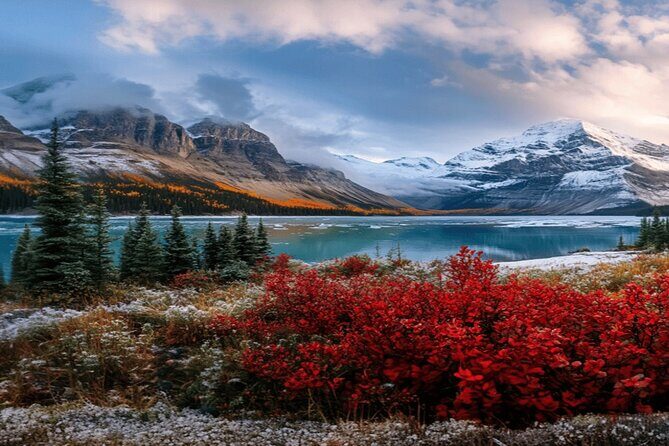Calgary: Columbia Icefield Adventure, Skywalk and Peyto Lake Tour - Who Will Love This Tour?