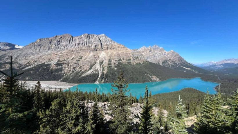 Calgary: Columbia Icefield & Bow Lake & Peyto Lake - An Honest Look at the Journey