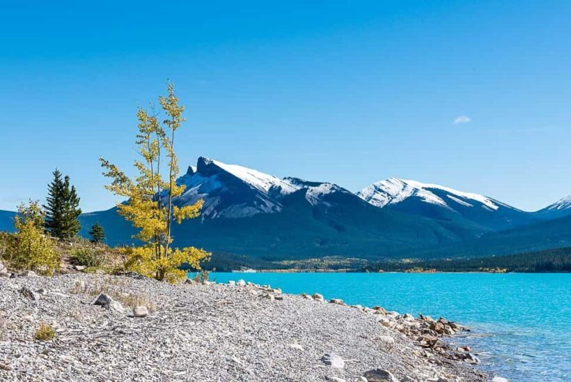 Calgary: Day Trip to Jasper with Lunch - What to Expect in Terms of Comfort and Value