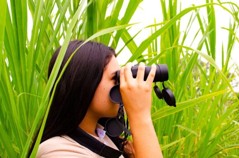 Cali: Birdwatching in la Cumbre - The Sum Up