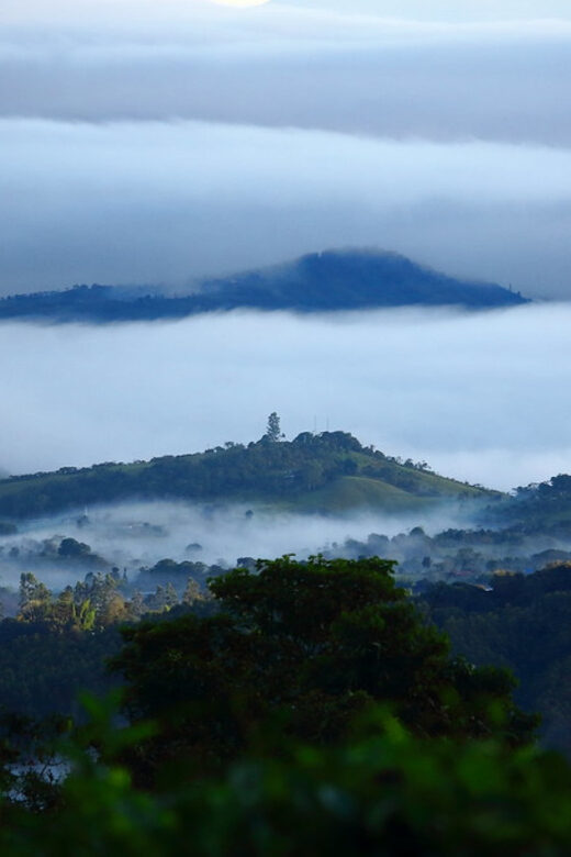 Cali: Birdwatching in la Cumbre - FAQ