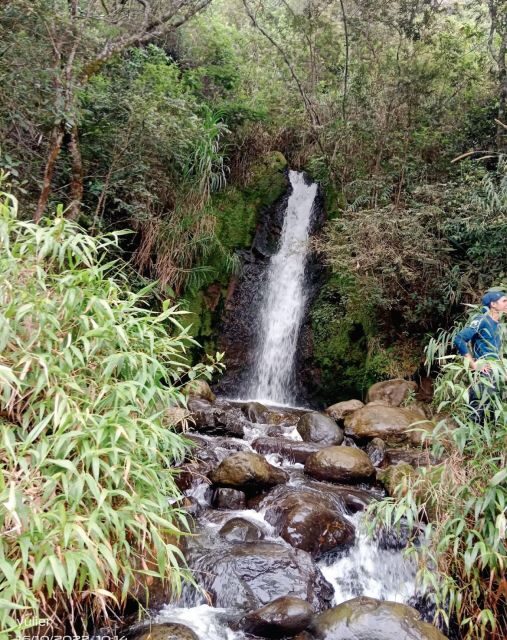 Cali: Cali River Waterfall and Great River Pools Tour - Why This Tour Is a Standout