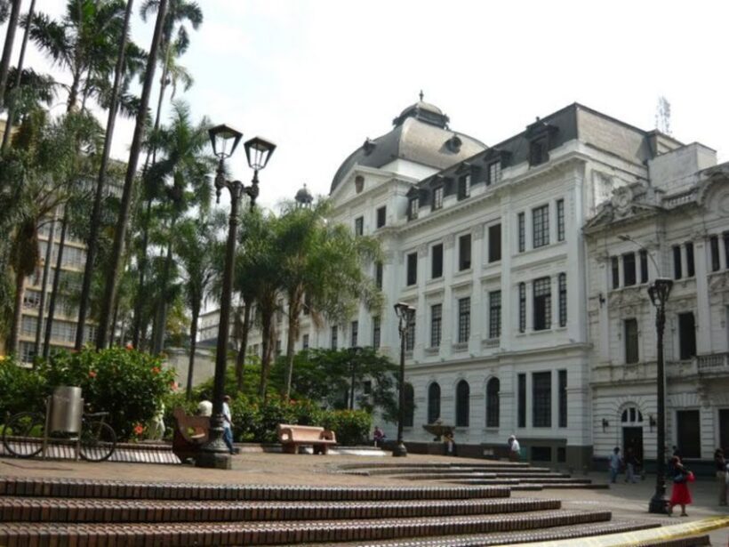 Cali Downtown Walking Tour - A Closer Look at the Tour Experience