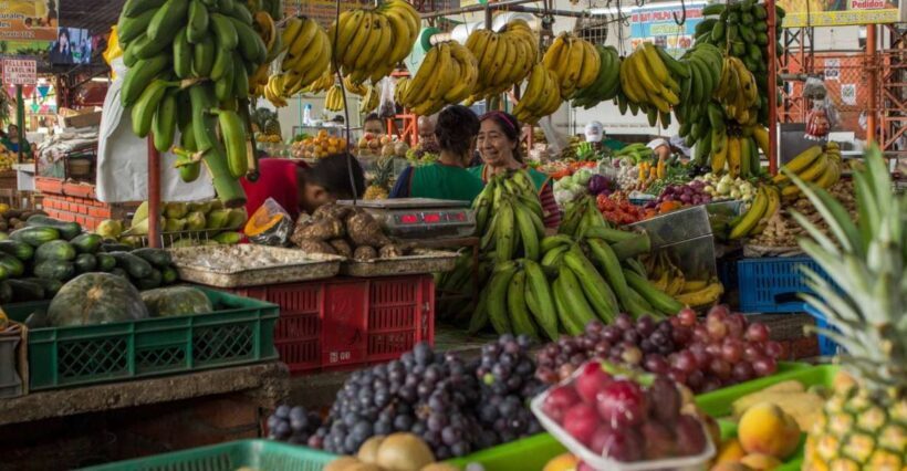 Cali: Fruit Market Walking Tour with Tastings - Cali: Fruit Market Walking Tour with Tastings — A Taste of Authenticity in Valle del Cauca