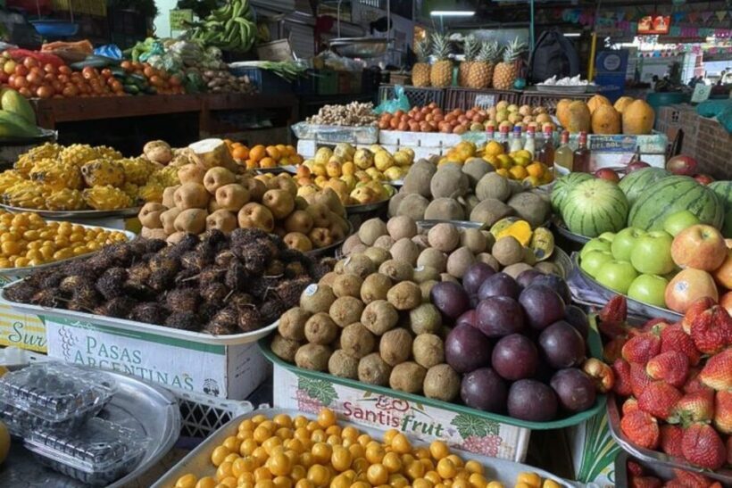 Cali: Fruit Market Walking Tour with Tastings - Who Is This Tour Best For?
