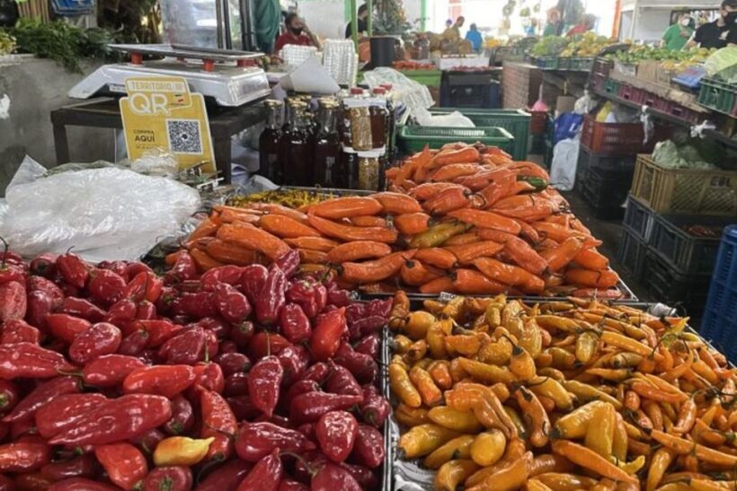 Cali: Fruit Market Walking Tour with Tastings - Final Thoughts