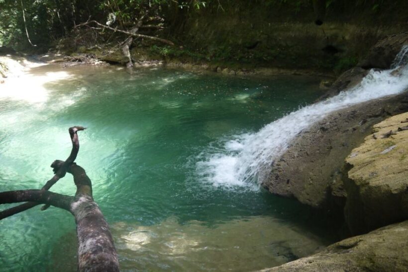 Cali: Guided Day-Trip to San Cipriano with Traditional Lunch - Key Points