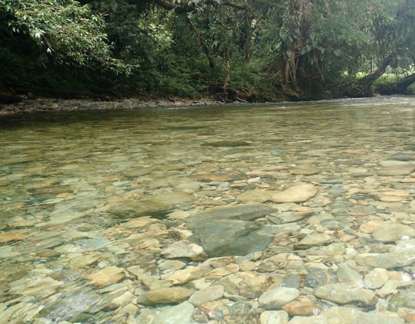 Cali: Guided Day-Trip to San Cipriano with Traditional Lunch - Who Will Love This Tour?