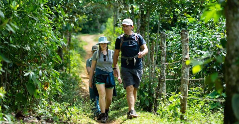 Cali: Hiking to the Pance waterfalls - Final Thoughts: Is This Tour for You?