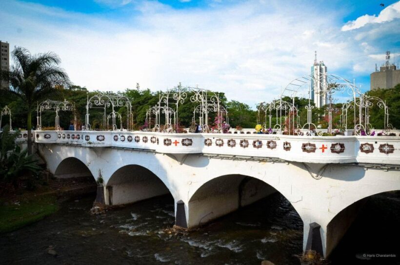 Cali: Three hours walking Cali City discovery tour - Who Will Love This Tour?