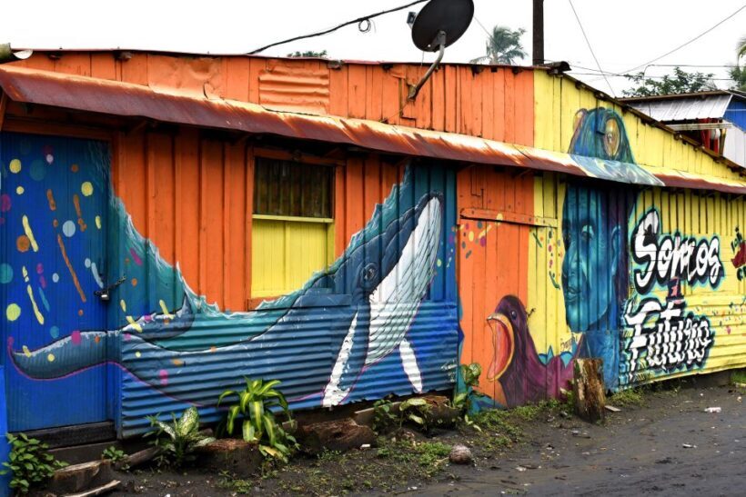 Cali: Whale Watching in the Colombian Pacific Coast - Practical Tips for Travelers