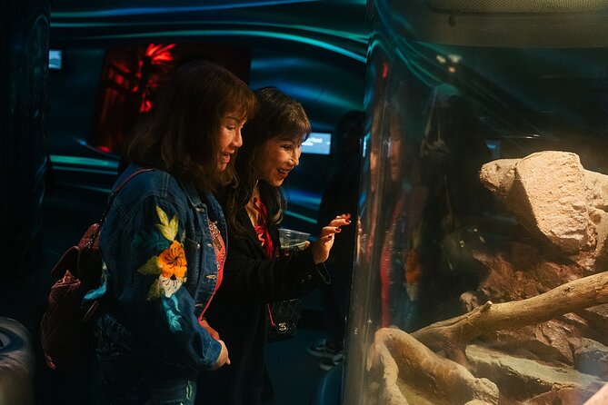 California Academy of Sciences NightLife Admission Ticket - Who Will Enjoy This Experience?