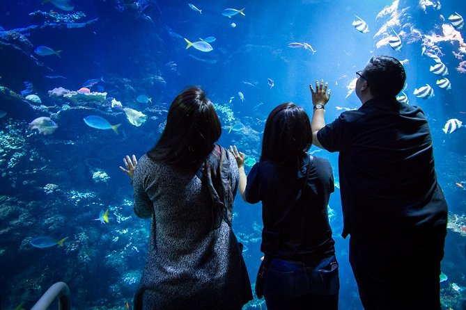 California Academy of Sciences NightLife Admission Ticket - Frequently Asked Questions