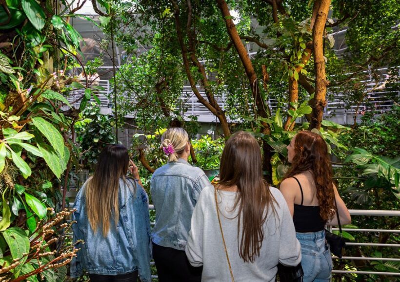 California Academy of Sciences NightLife Plus Admission - Practical Tips for Visitors