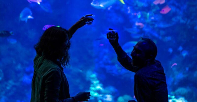 California Academy of Sciences NightLife Plus Admission - The Itinerary: What to Expect on Your Night Out